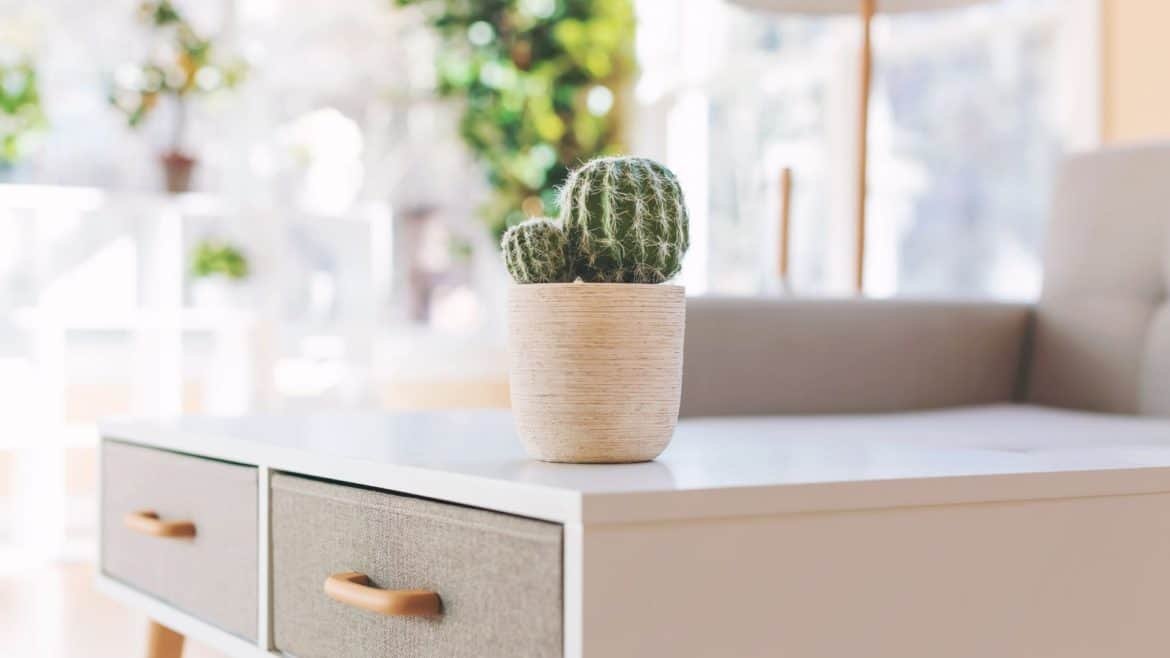 Handy Recommendations For Beautify Your Home's Interior